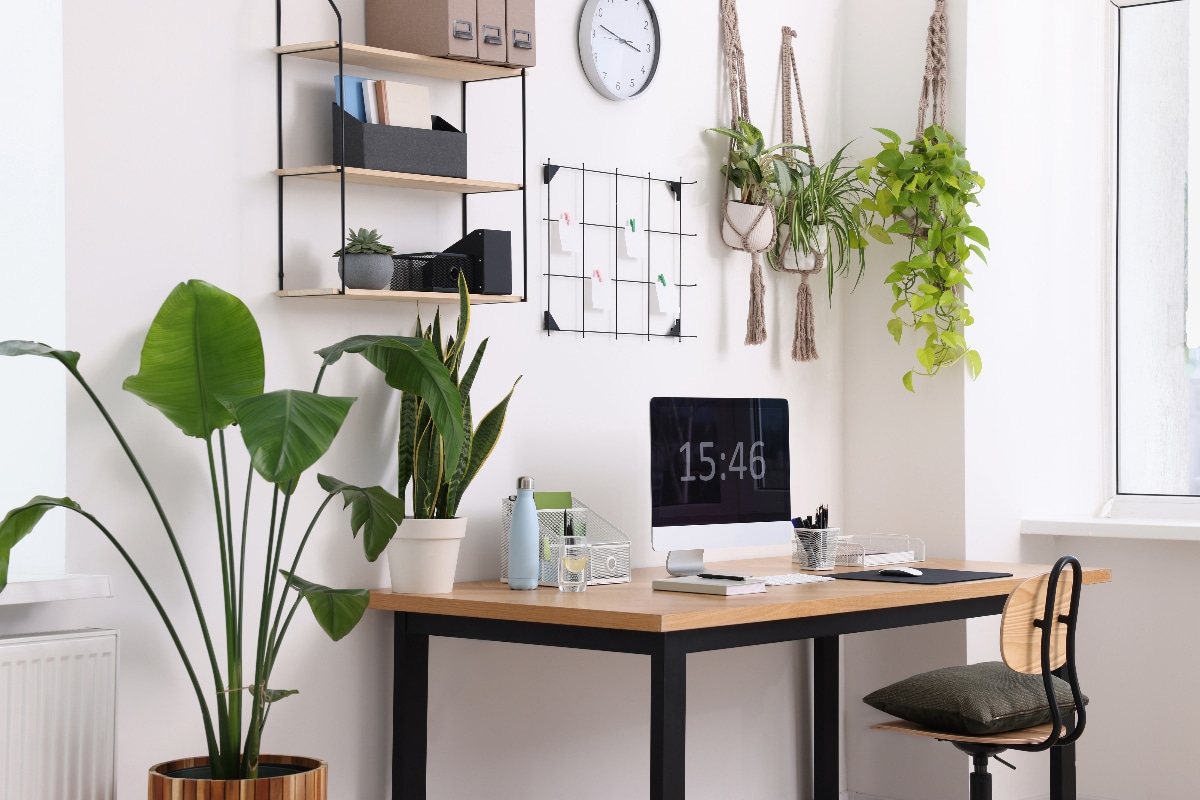 Ambiente para estudos em casa: Como criar o seu? Veja ideias!